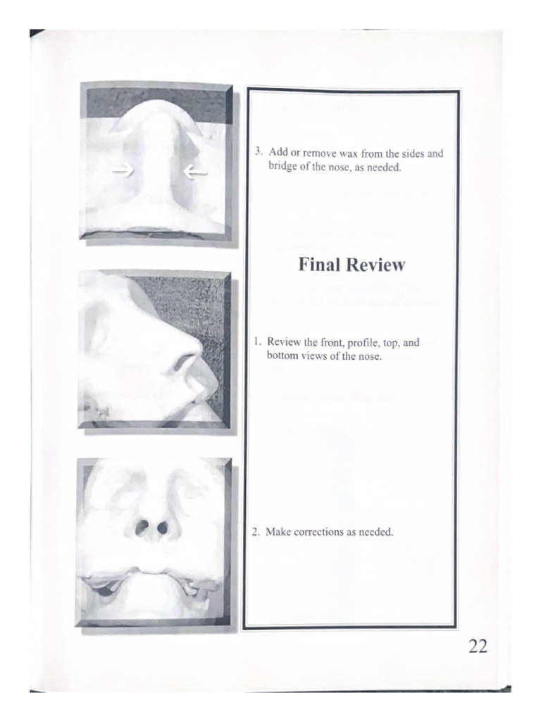 Part 2 - Facial Reconstruction | PDF