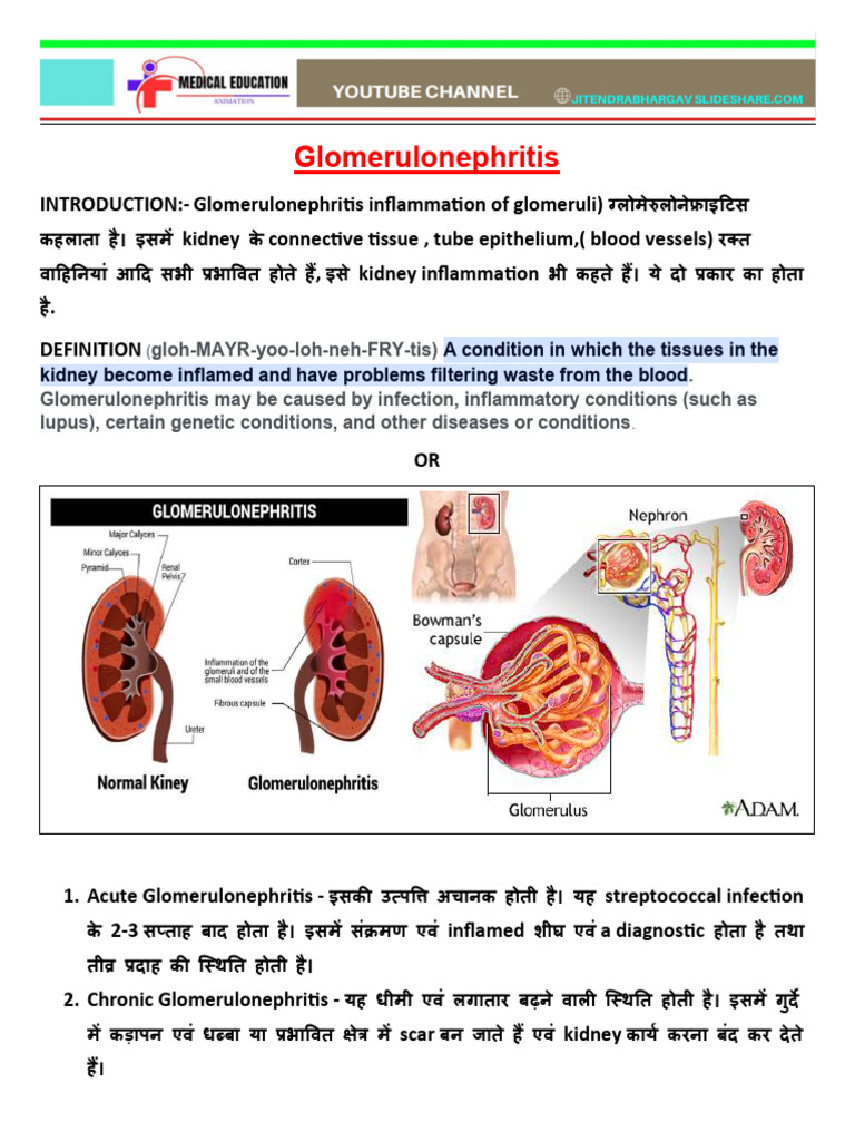 Glomerulonephritis | PDF | Inflammation | Science & Mathematics