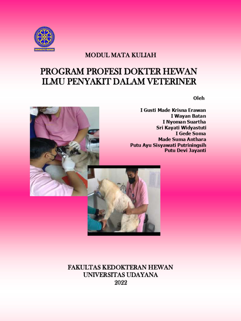 Modul PPDH Interna | PDF