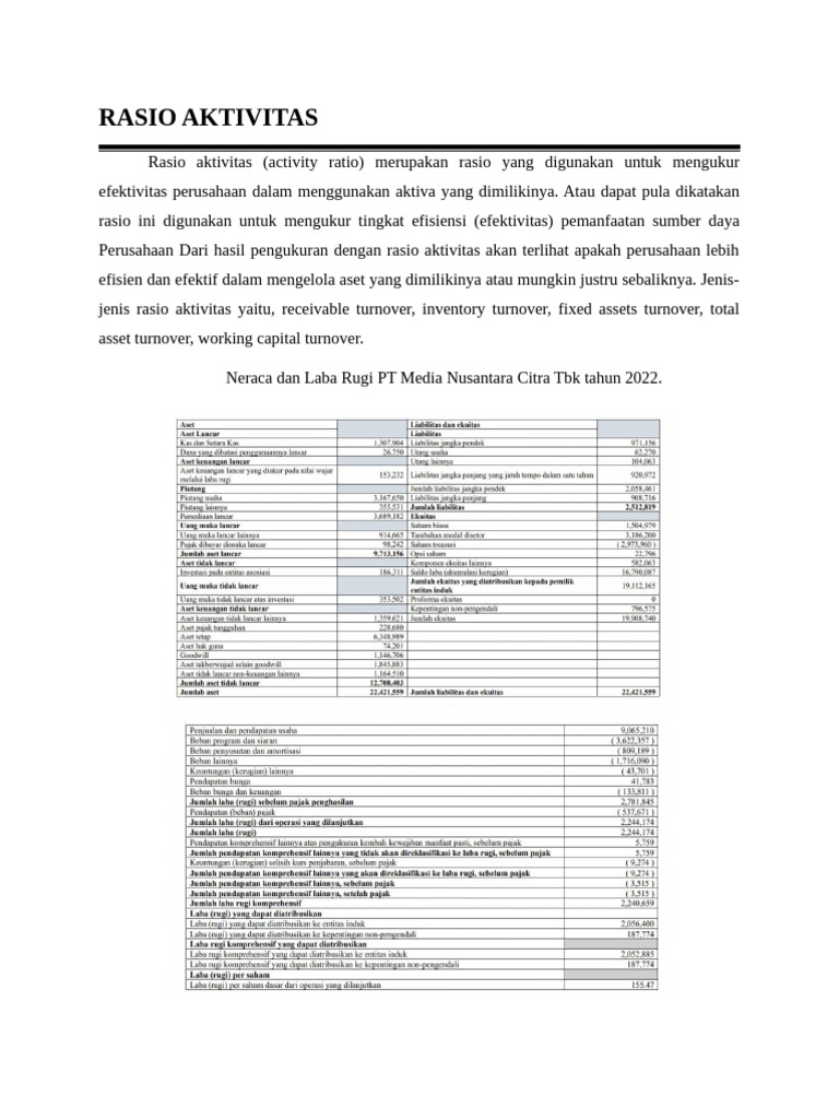 Rasio Aktivitas | PDF
