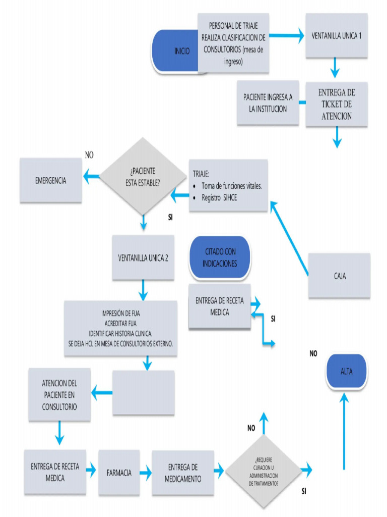 Flujograma DE SALUD | PDF
