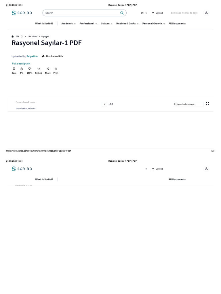 Rasyonel Sayılar-1 PDF - PDF | PDF