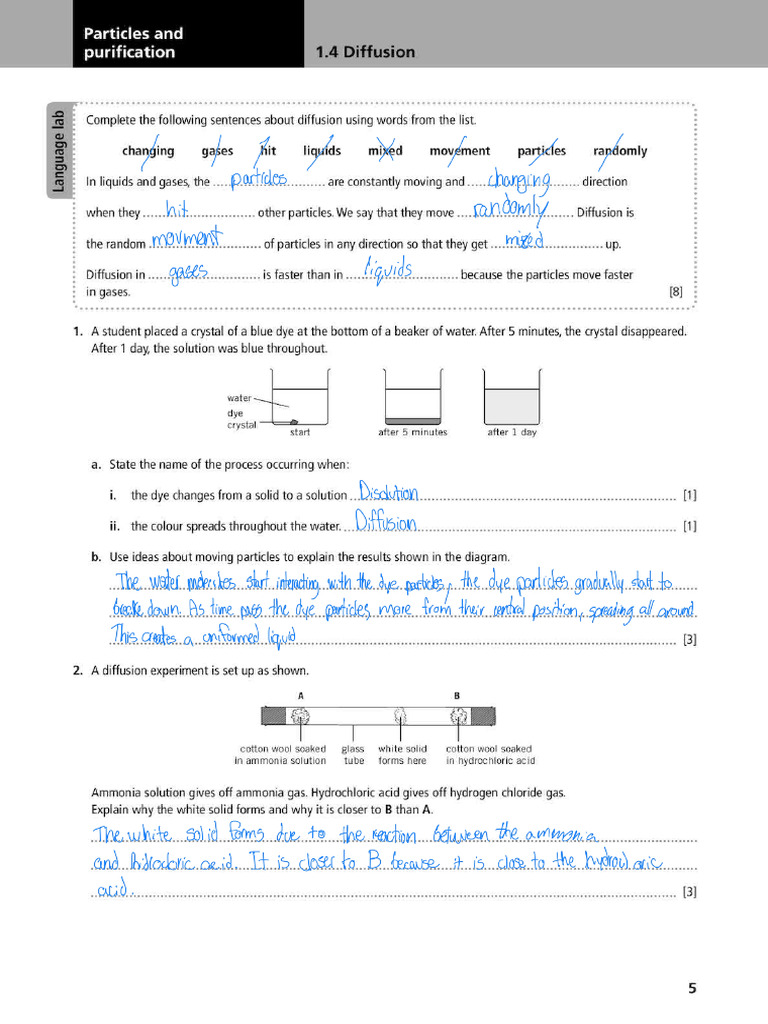 Homework 02 HS2 Diffusion | PDF