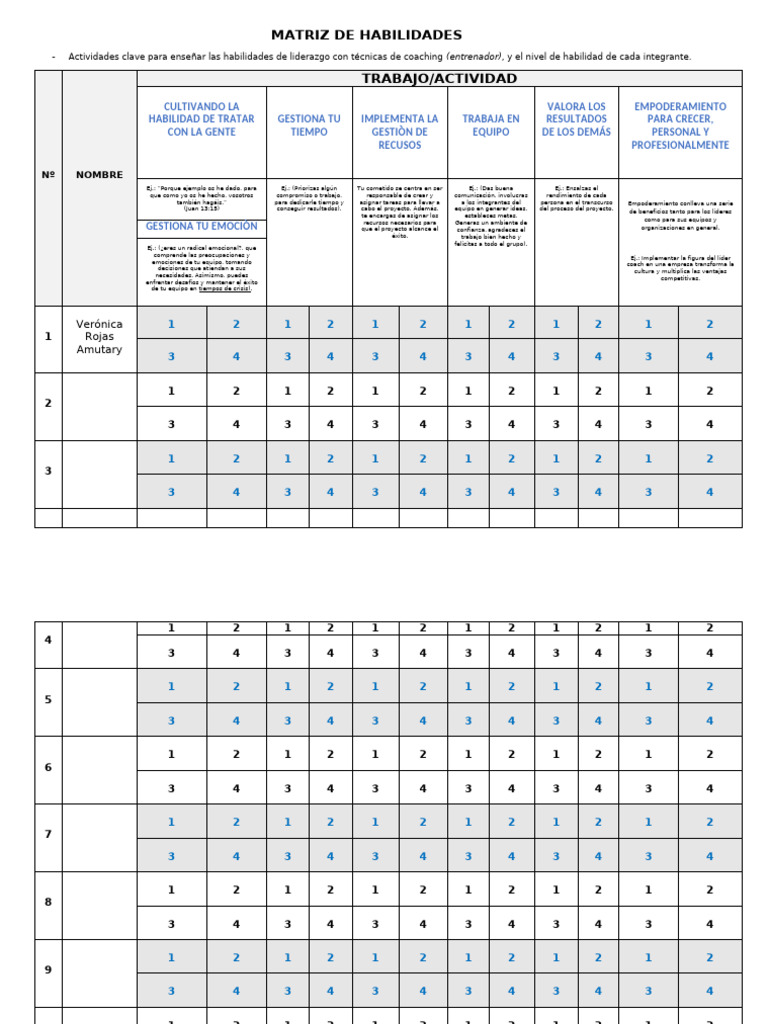 Matriz de Habilidades | PDF