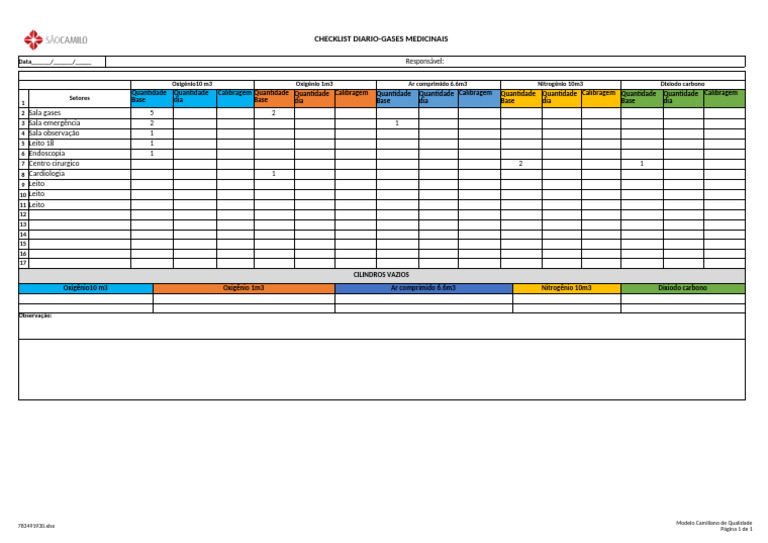 Checklist Diário Gases Medicinais | PDF