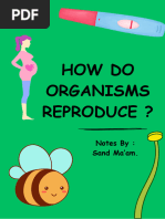 Working Paper For Mun (Example) | PDF