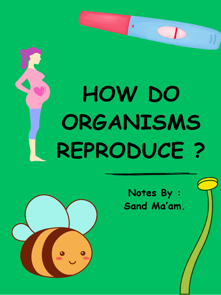 How Do Organisms Reproduce | PDF