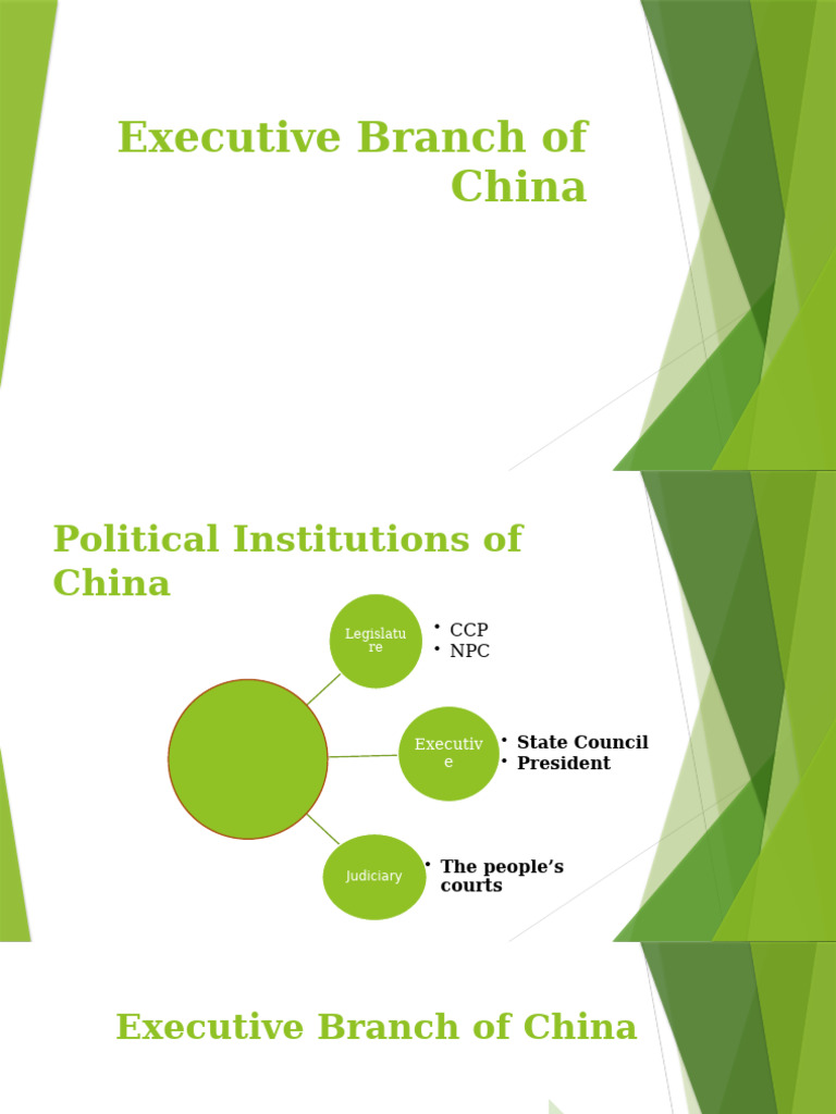 China's Executive 1 | PDF