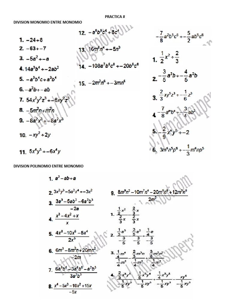 Practica Division Mono-Polinomios | PDF