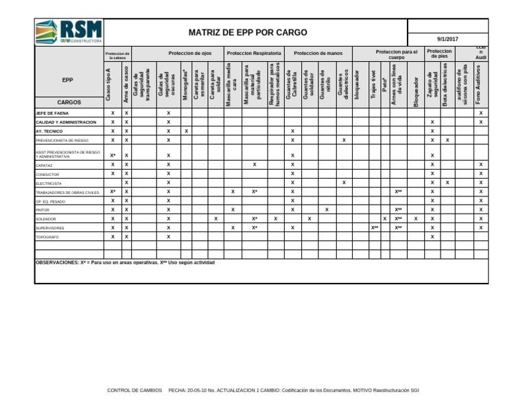 Matriz de EPP Por Cargo | PDF