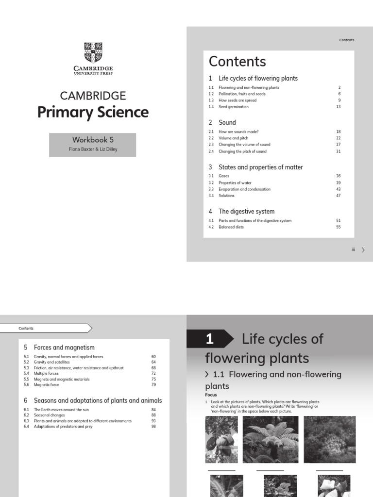Year 5 Science | PDF