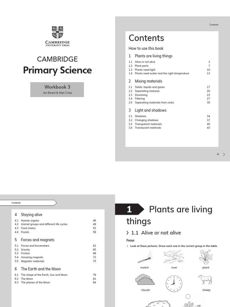 Year 3 Science | PDF