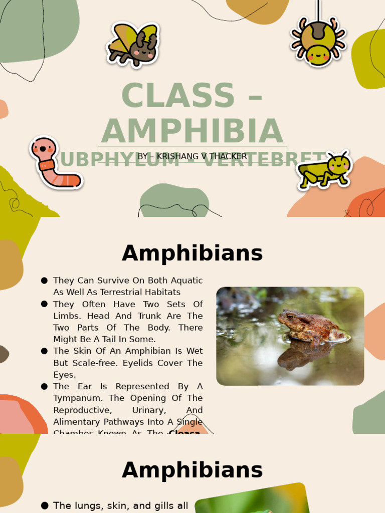 Class Amphibia | PDF