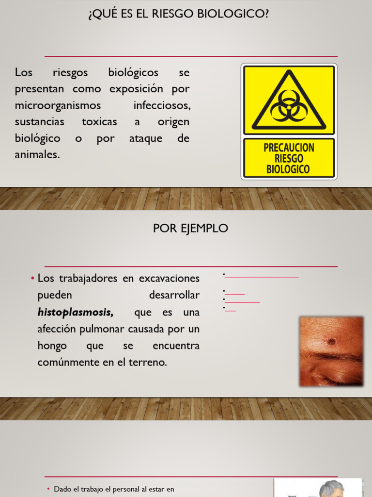 Riesgo Biologico | PDF
