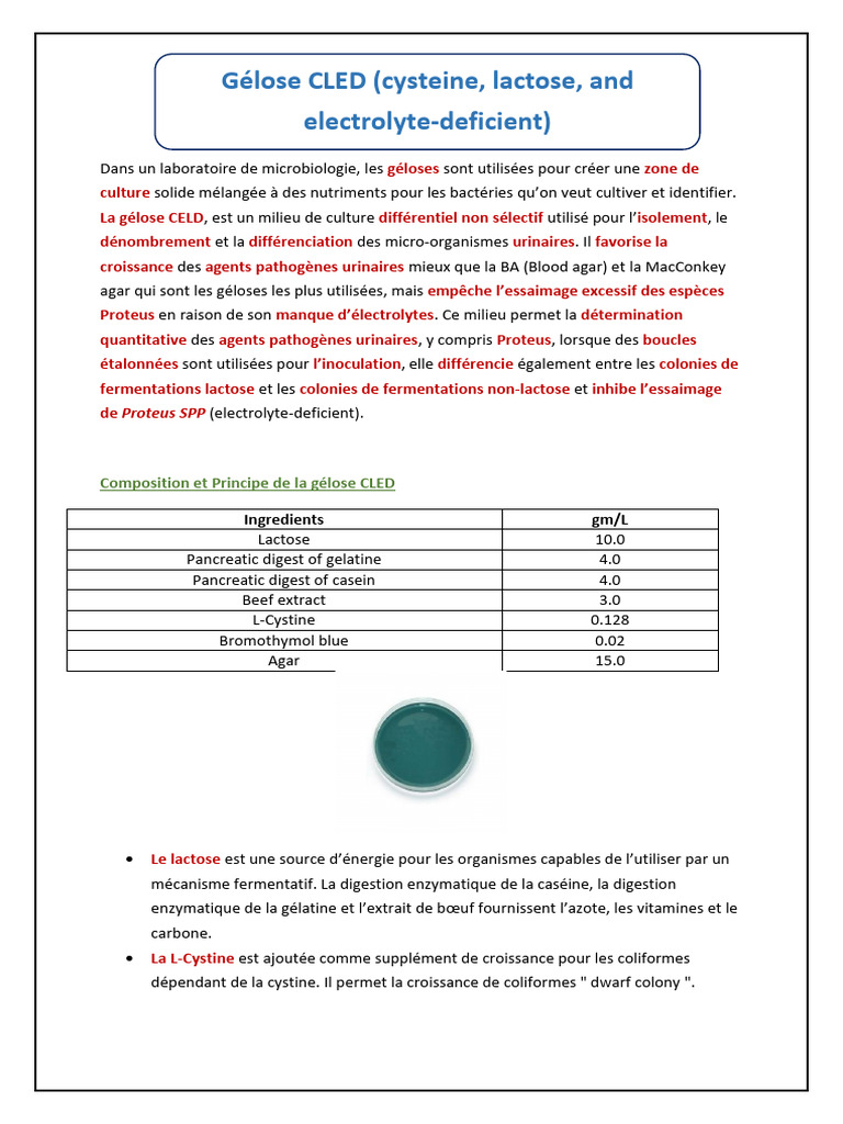 CLED Agar | PDF