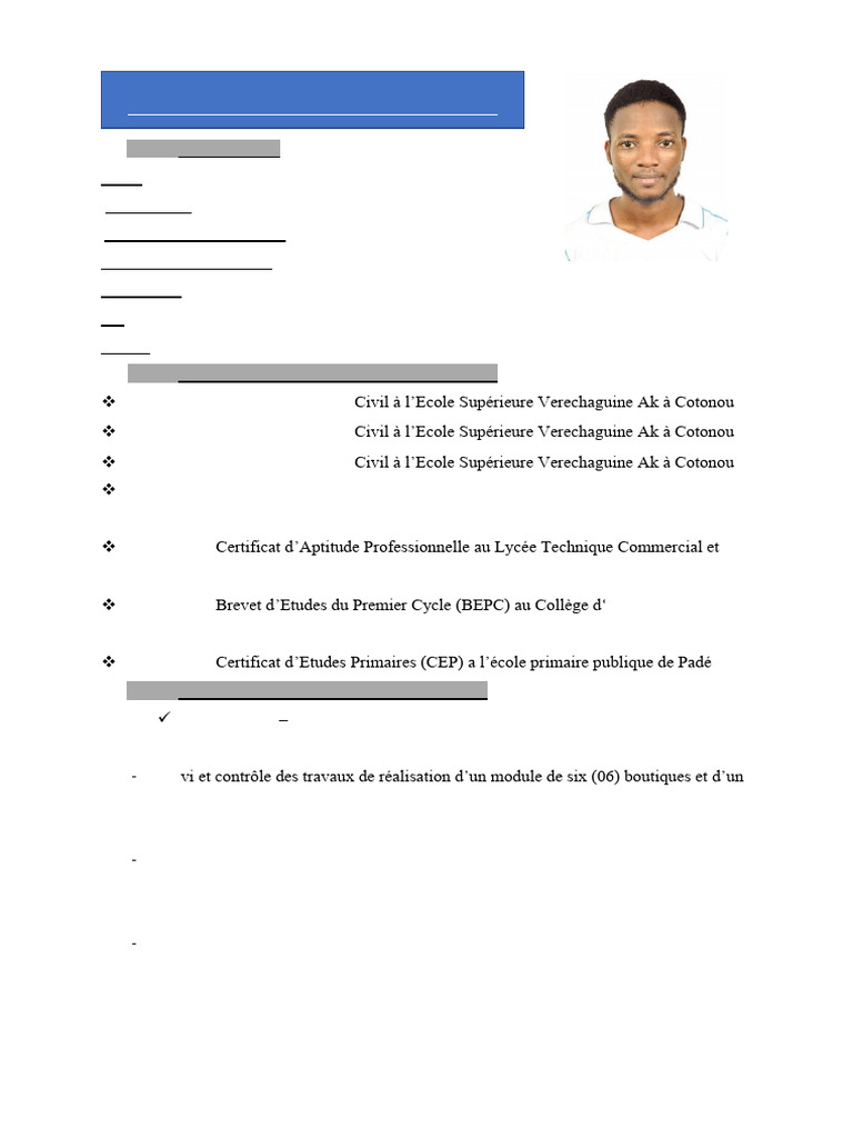 Orou Nikki Michel CV | PDF