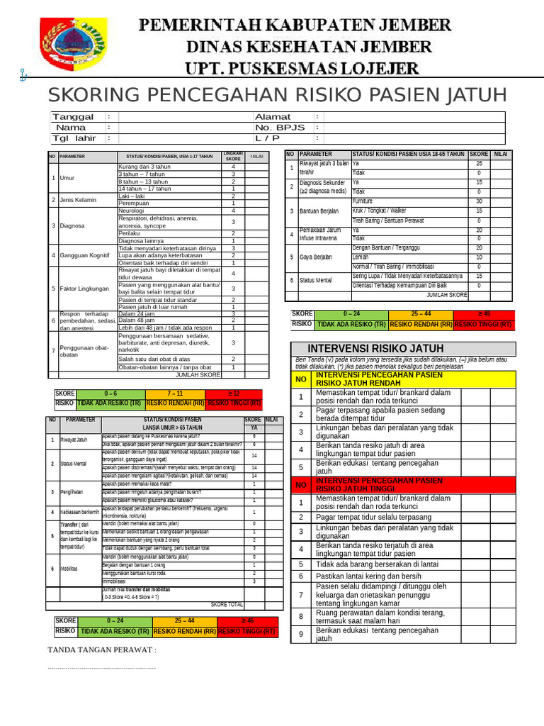 Skore Risiko Jatuh | PDF