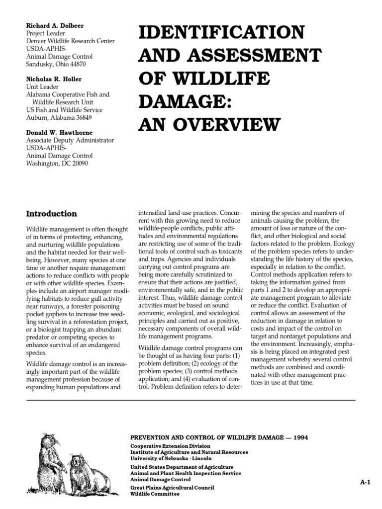 damage_identification-1 Week 8 Reading | PDF