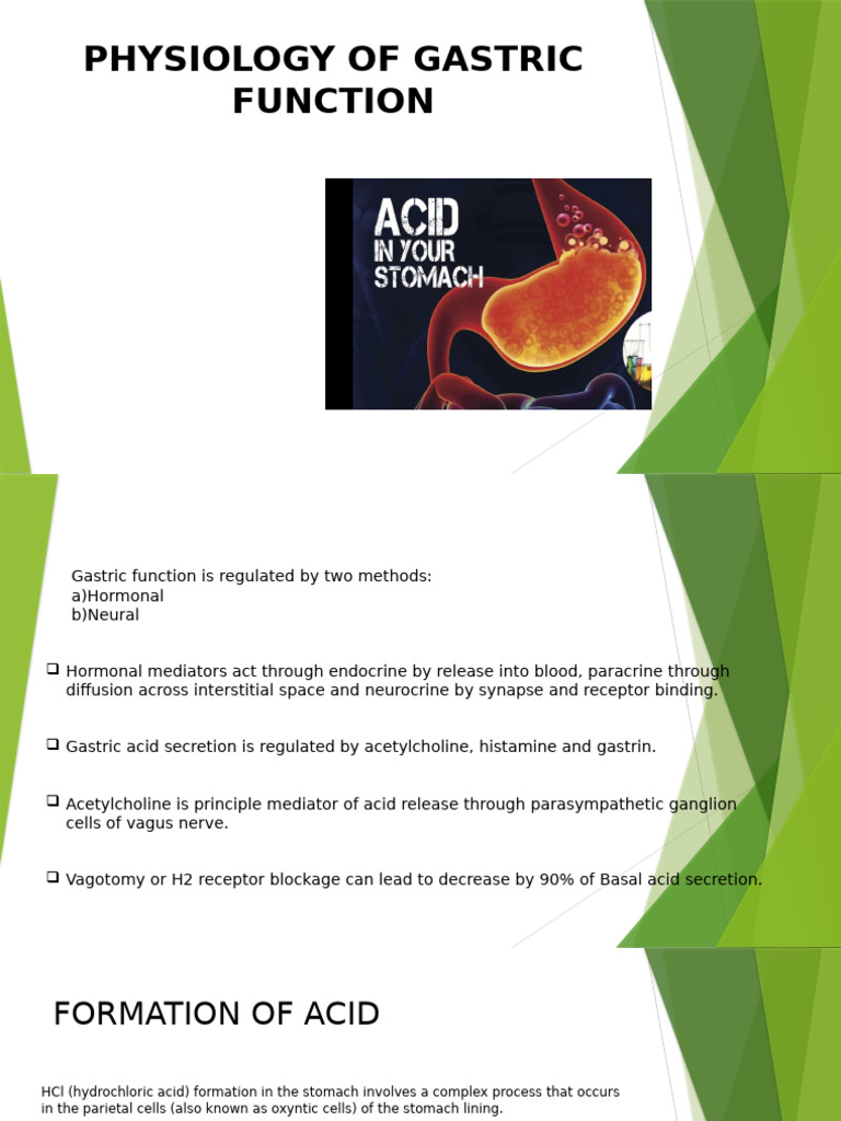 Gastric Function 129 | PDF | Stomach | Digestion