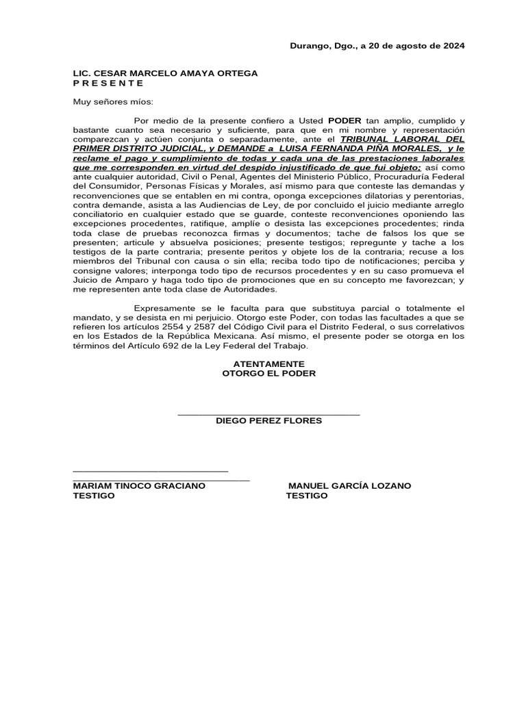 Carta Poder Laboral | PDF