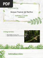 Ficha de Trabajo - Sabana Humeda Con Palmeras | PDF | Ecosistema | Sabana