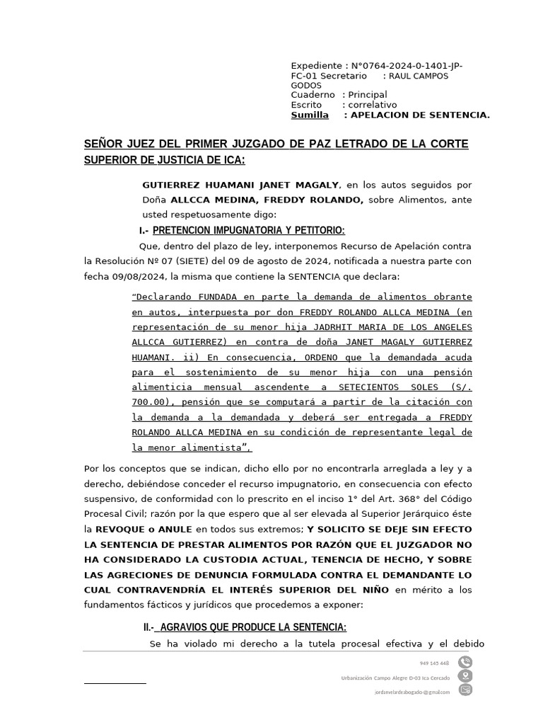 Apelacion de Sentencia Janet Gutierrez | PDF | Debido al proceso | Ley ...