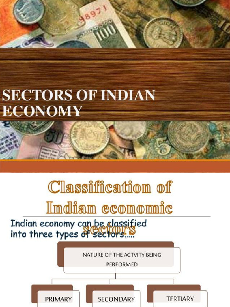 E2 Sectors of Indian Economy 2 | PDF