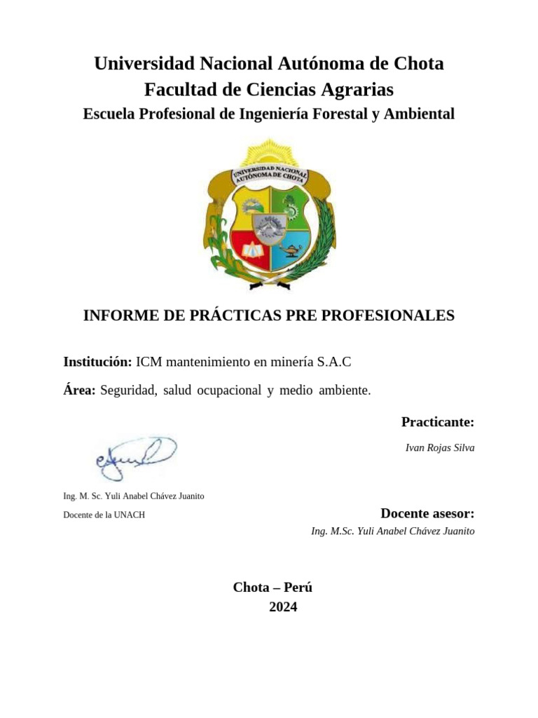 Formato 06. Informe de Prácticas Preprofesionales. | PDF