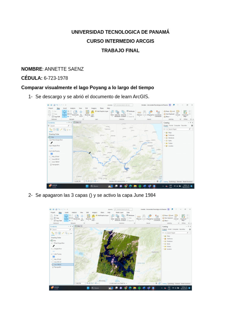 Informe Final ArcGis Avanzado | PDF