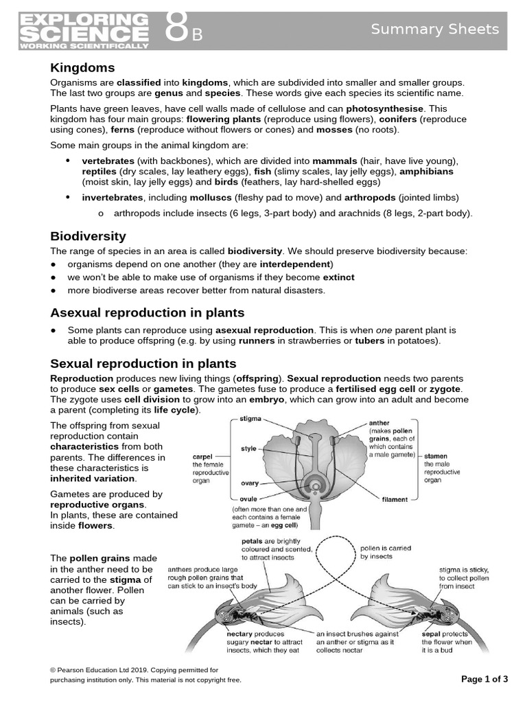 8B Summary sheet | PDF