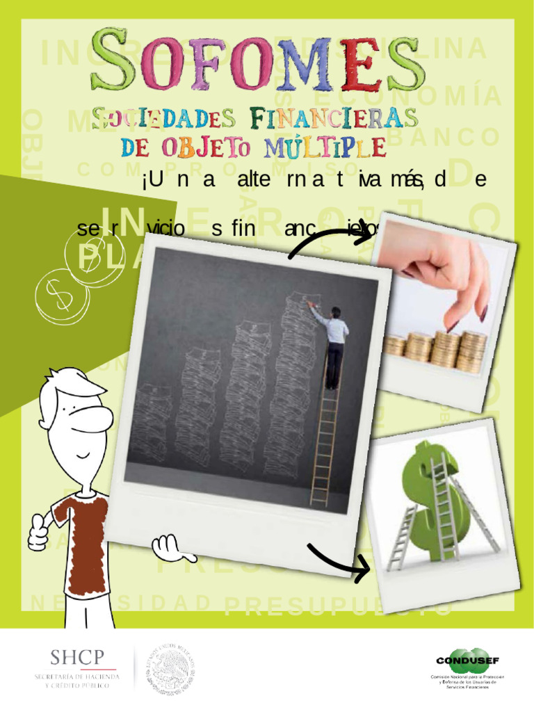 Informacion para Manejo de SOFOMES CONDUSEF | PDF | Bancos | Cooperativa