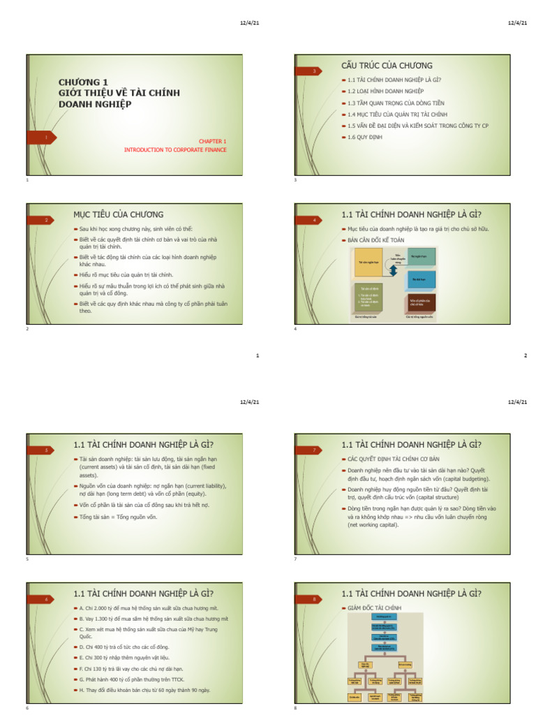 Chapter1 IntrodutionCorporateFinance | PDF