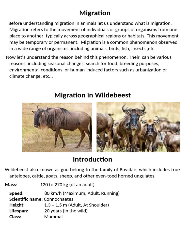 Migration | PDF