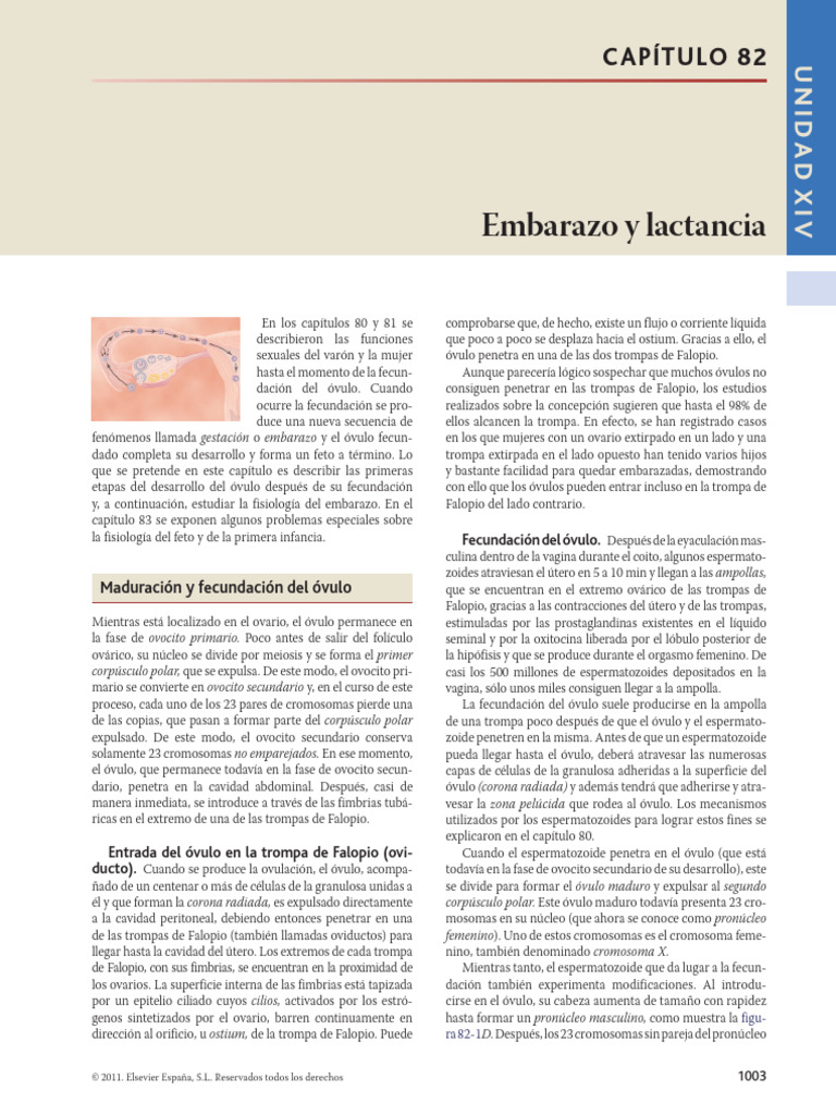 Guyton y Hall Tratado de Fisiología MedicaCAPITULO82 | PDF