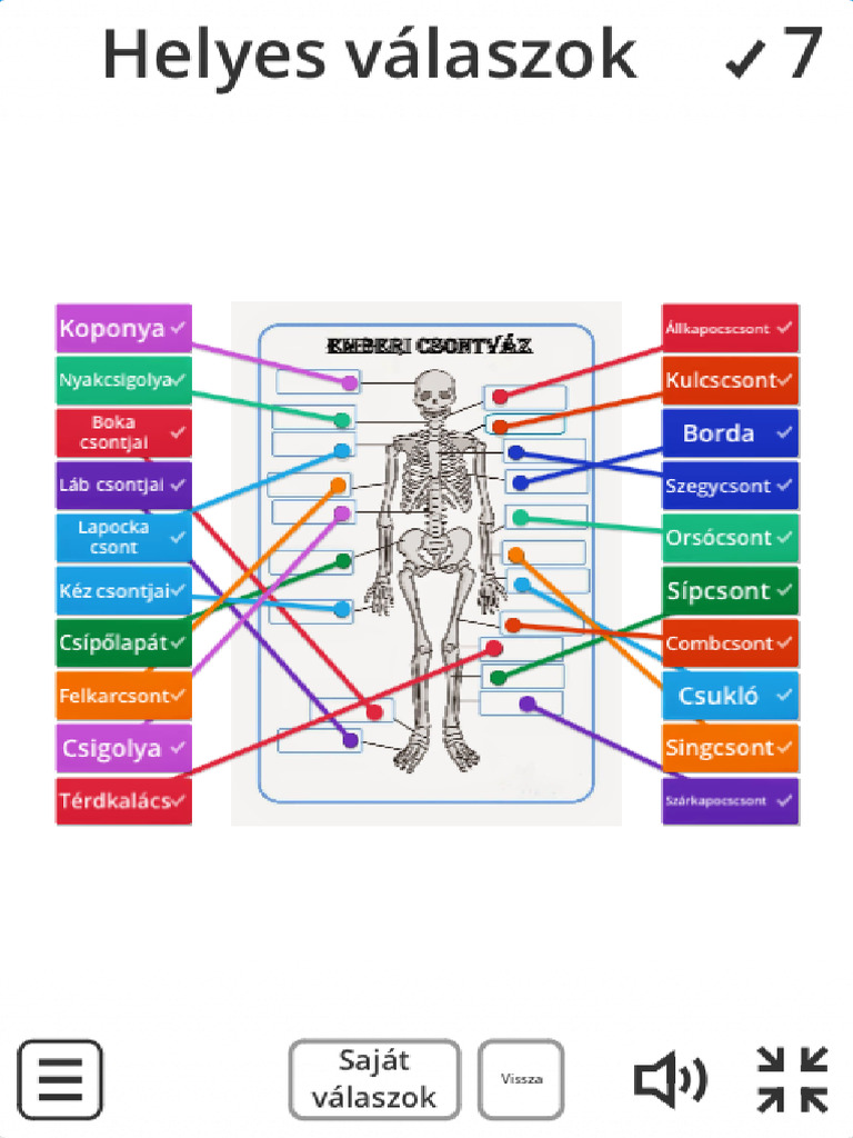 Nevezd Meg Az Emberi Csontváz Részeit! - Diagram | PDF