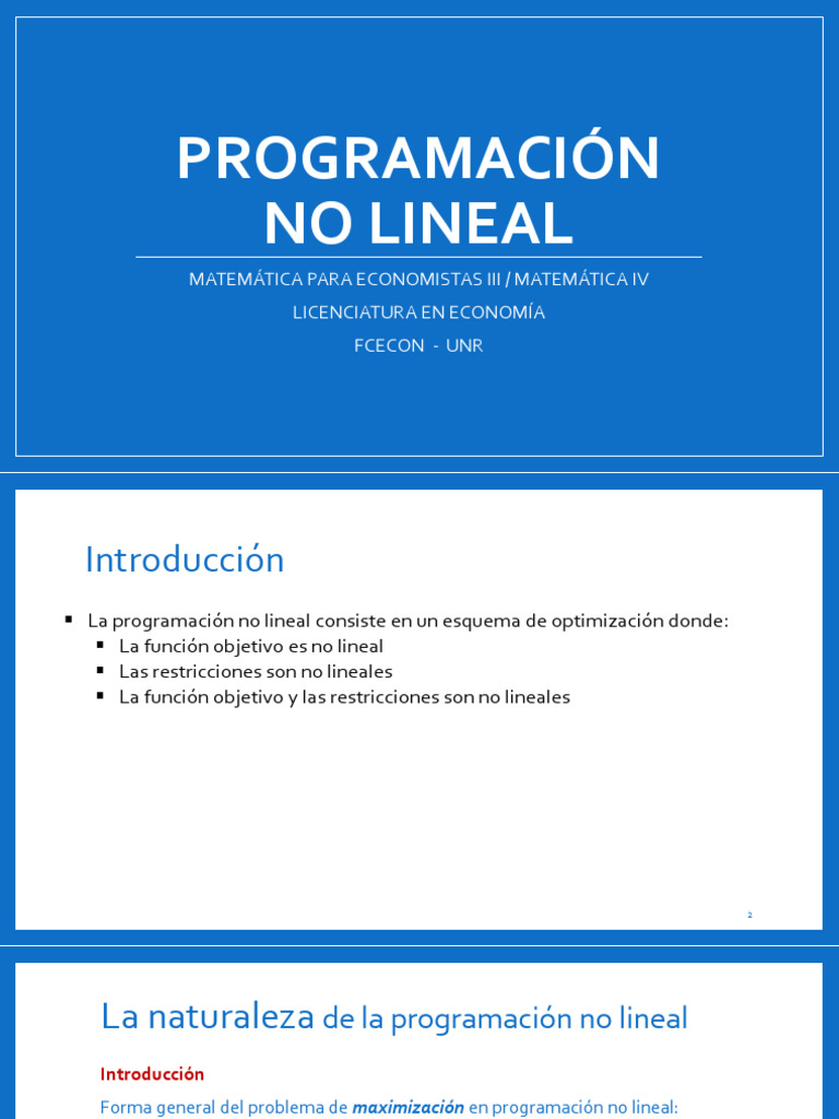 Programación No Lineal | PDF