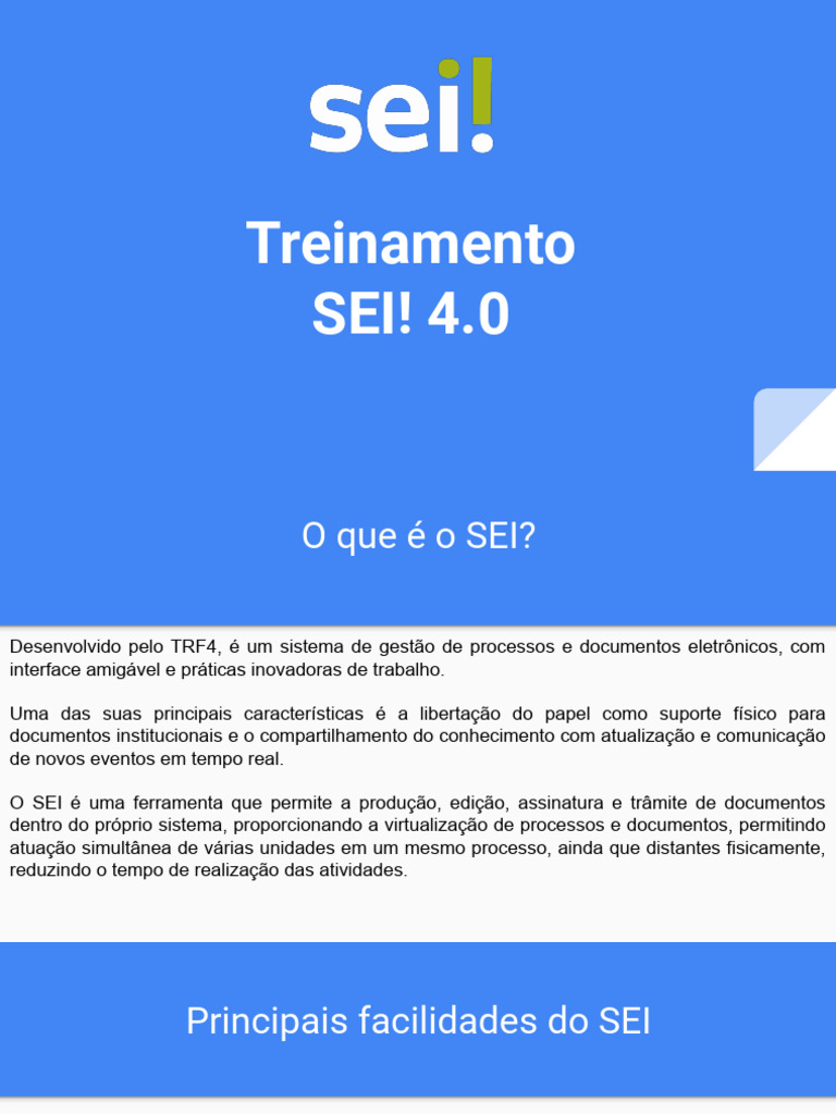 Treinamento SEI 4.0 - 2024 | PDF
