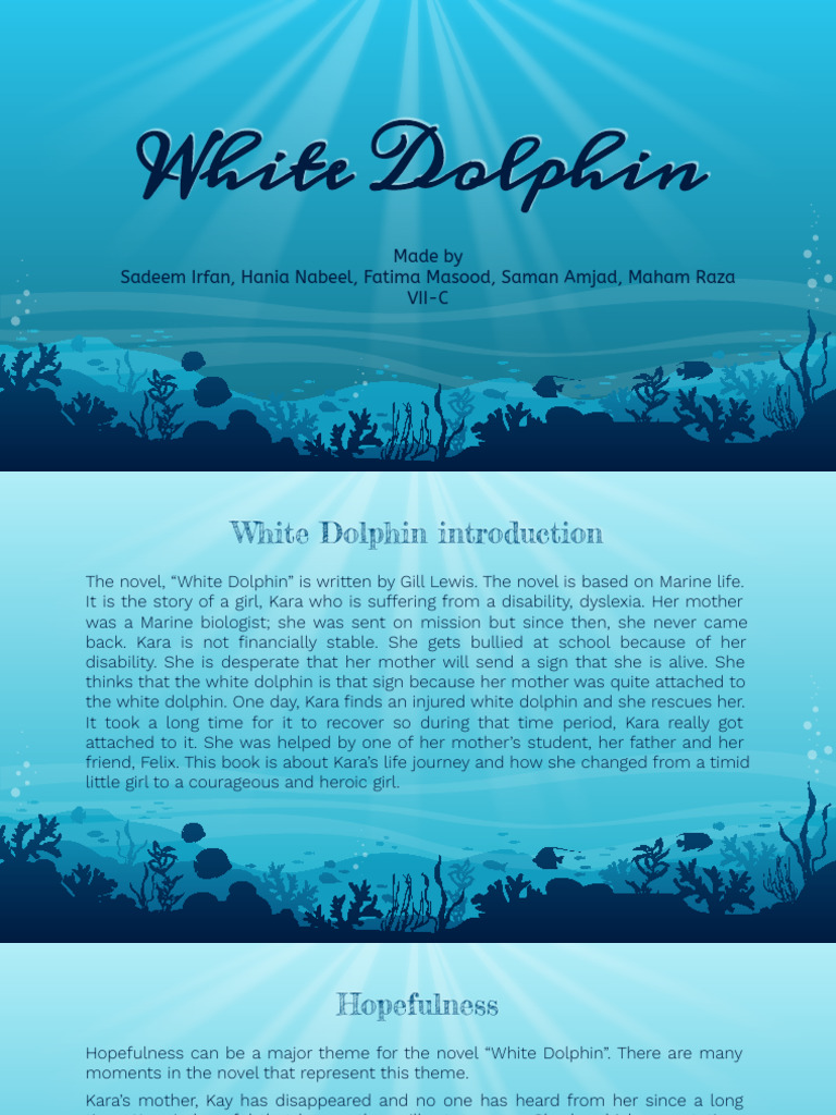 White Dolphin Presentation - 7C | PDF
