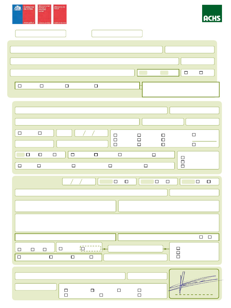 Achs - Formulario Diat Manual | PDF
