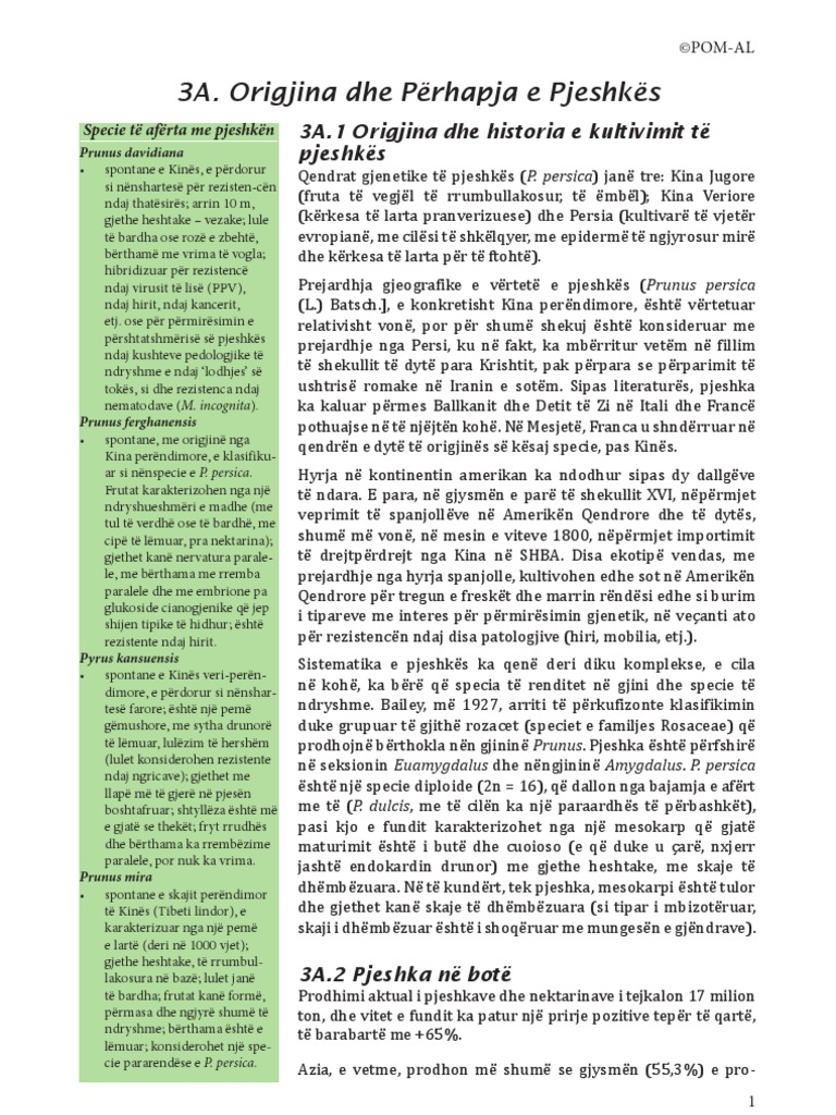 Origjina Dhe Perhapja e Pjeshkes | PDF