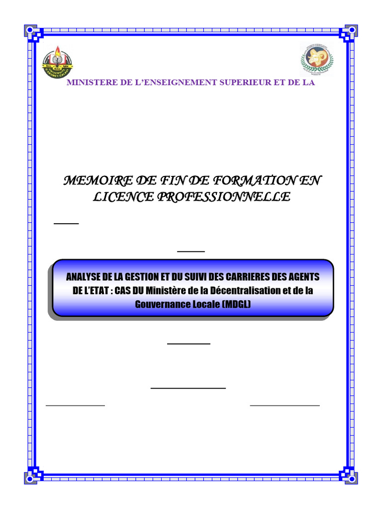 Memoire Final TOGRH | PDF