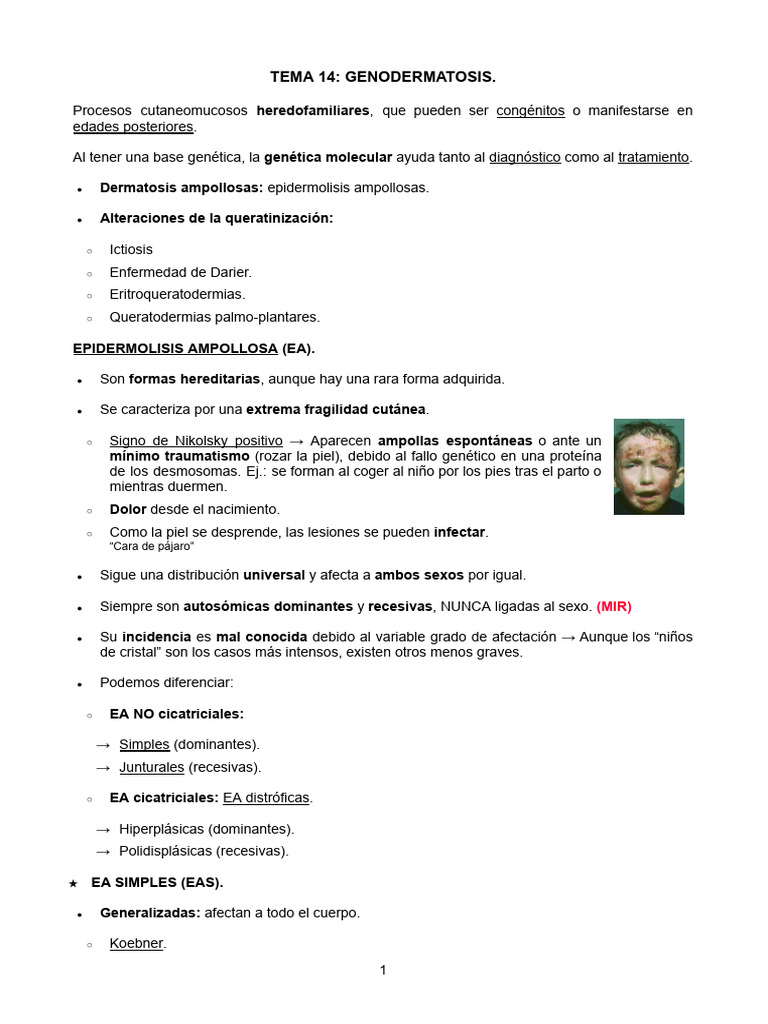 Tema 14: Genodermatosis.: "Cara de Pájaro" | PDF