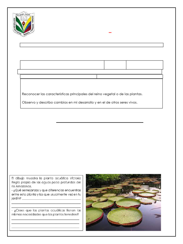 Guia Nº1 Ciencias Naturales - Grado 3 - Segundo Periodo | PDF