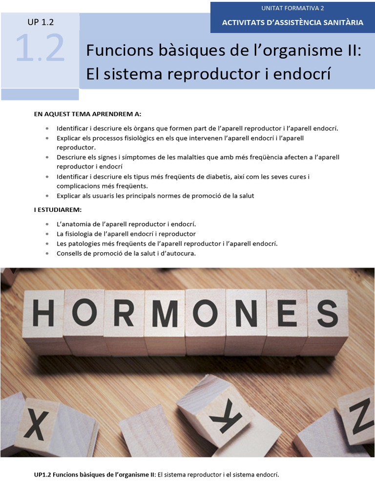 Up1.2 Funcions Bàsiques de L'organisme Ii El Sistema Reproductor I Endocrí | PDF