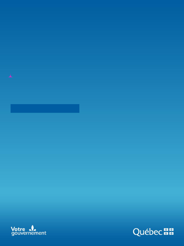 Aide À La Navigation Dans Le Nouveau SEAO | PDF