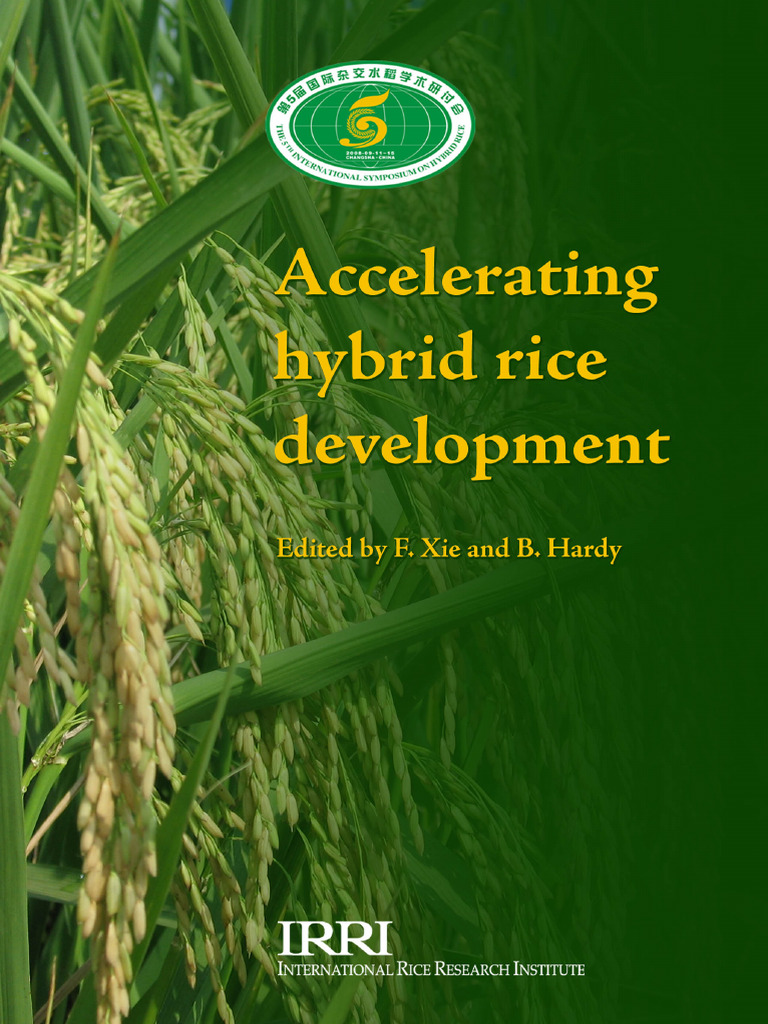 Accelerating Hybrid Rice Development_IRRI | PDF