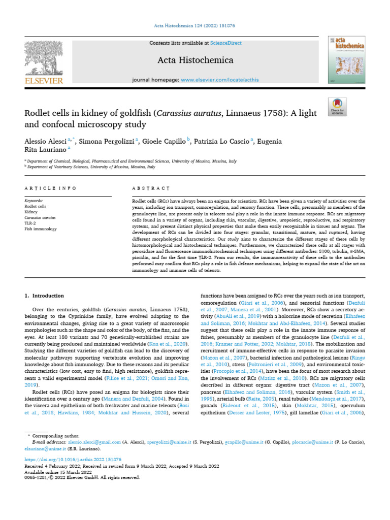 Acta Histochemica Rodlet Cells | PDF