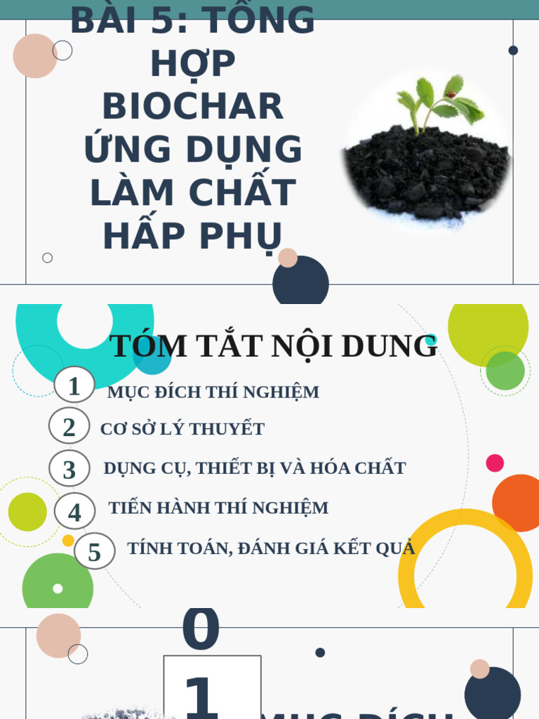 Bio Char | PDF