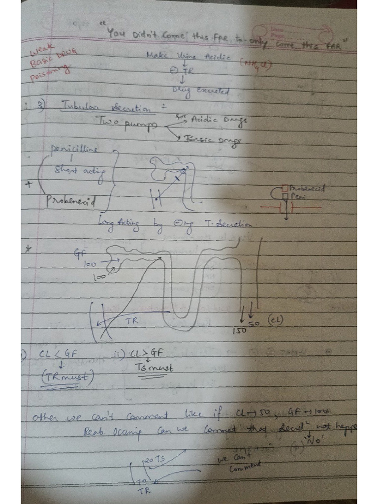 Image to PDF 20240821 22.50.04 | PDF