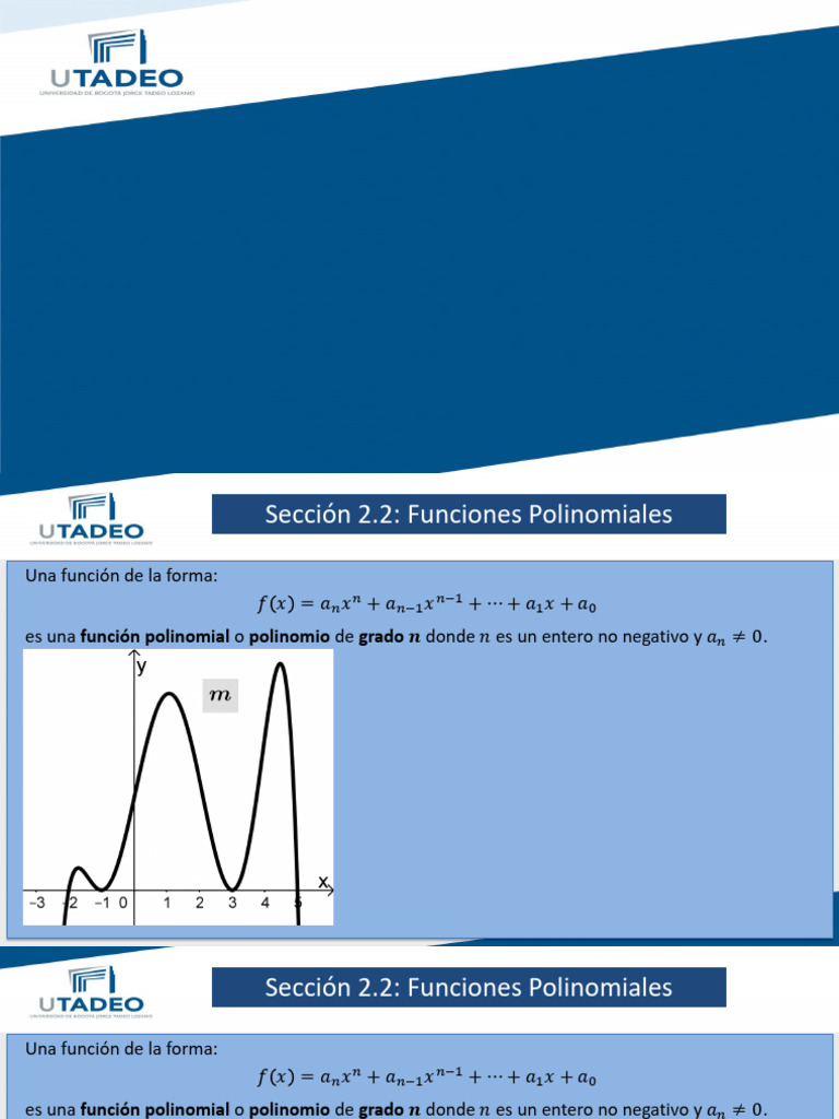 Funciones Polinomiales | PDF